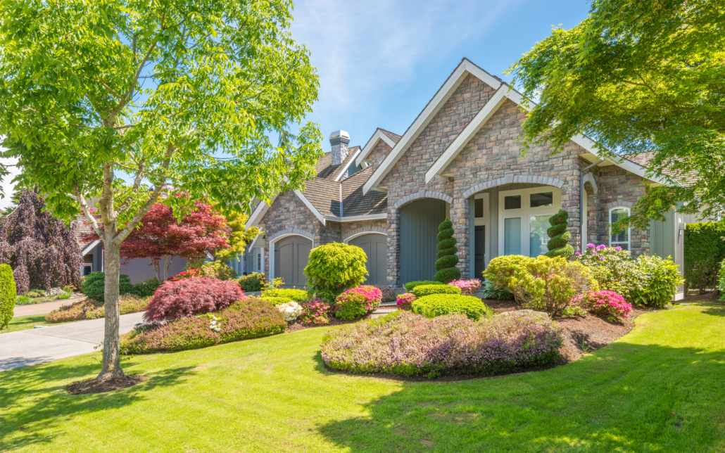 Meyer Tree Service | Comprehensive Tree Care Solutions